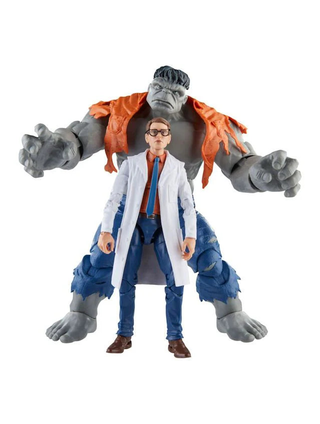 Marvel Legends Avengers Beyond Earth's Mightiest Gray Hulk & Dr Bruce ...